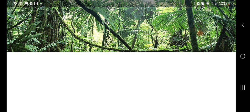 Sdl2 Image Class For 10 Bitmaps From One Surface Sdl Development Simple Directmedia Layer